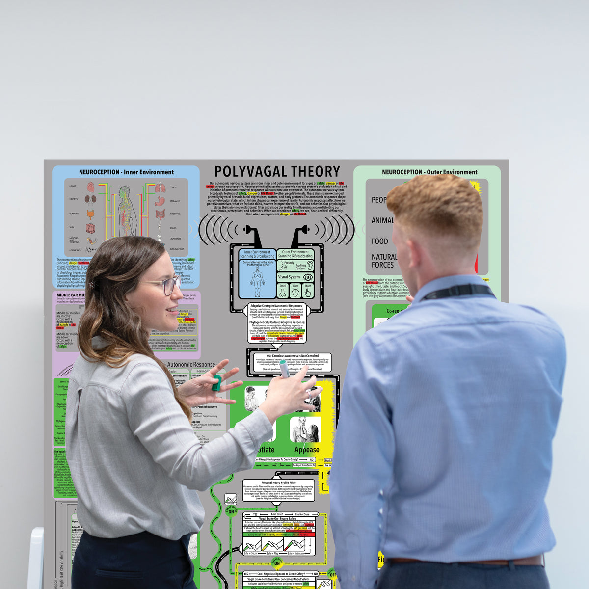 Comprehensive Polyvagal Chart - 30" X 40" Wall Chart – Michael Westgate Therapy