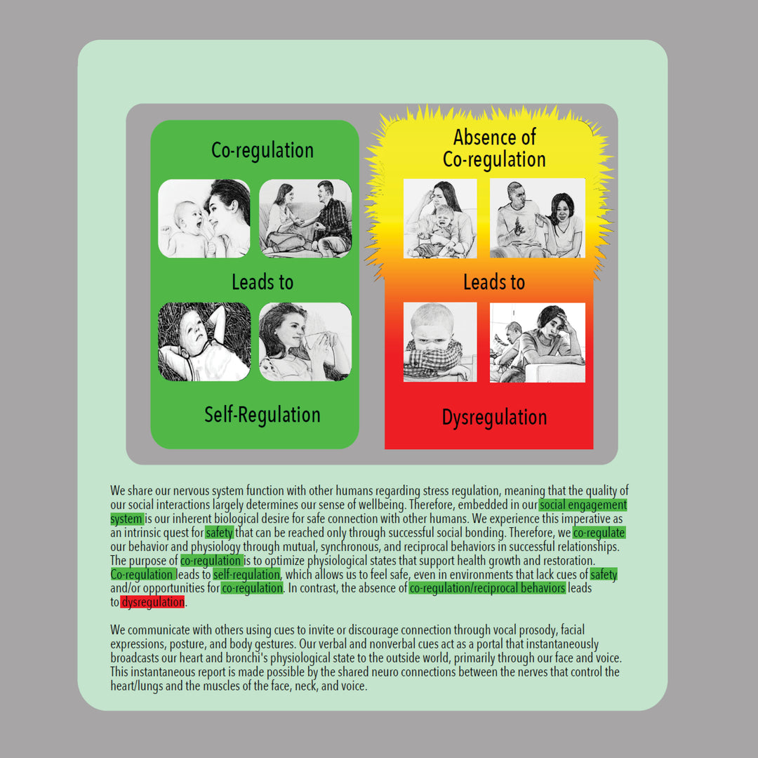 Comprehensive Polyvagal Chart - Digital PDF Download With Life Time Up ...
