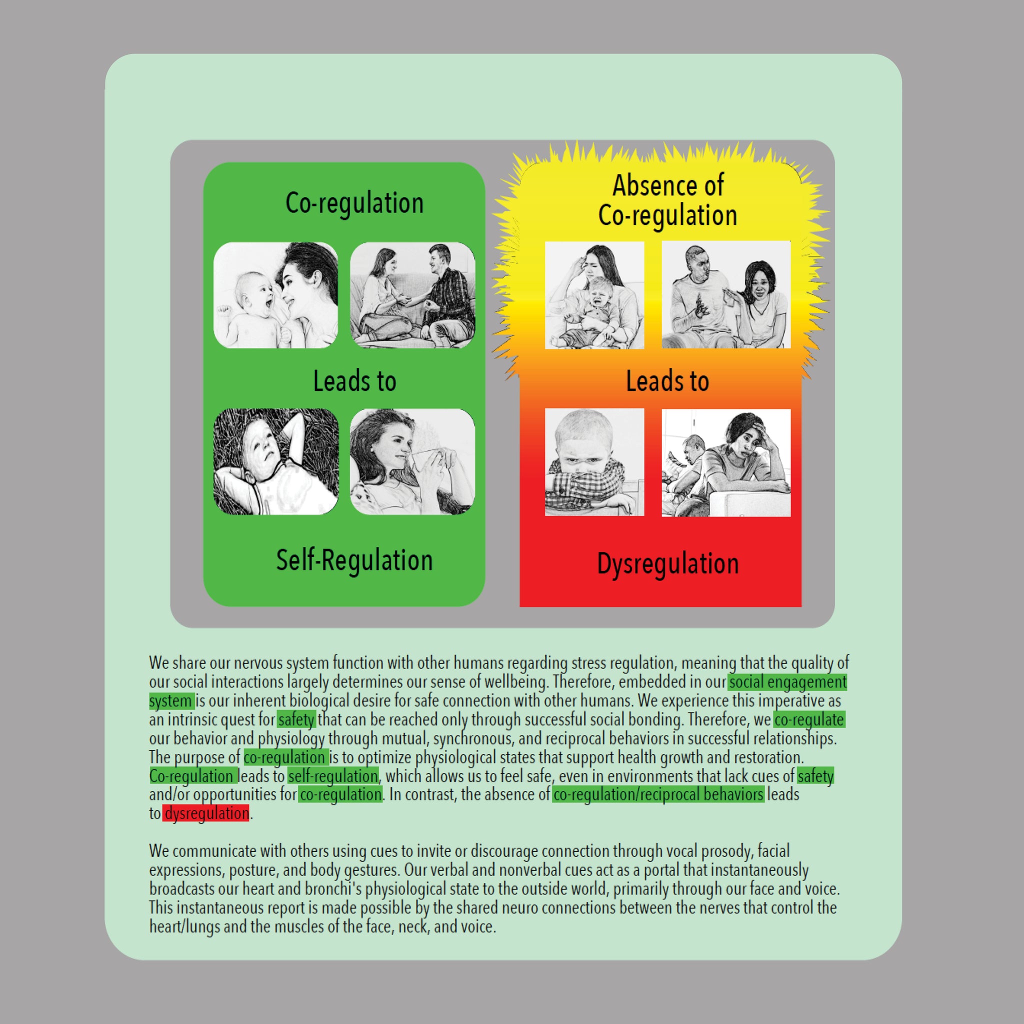 Comprehensive Polyvagal Chart - Digital PDF Download With Life Time Up ...