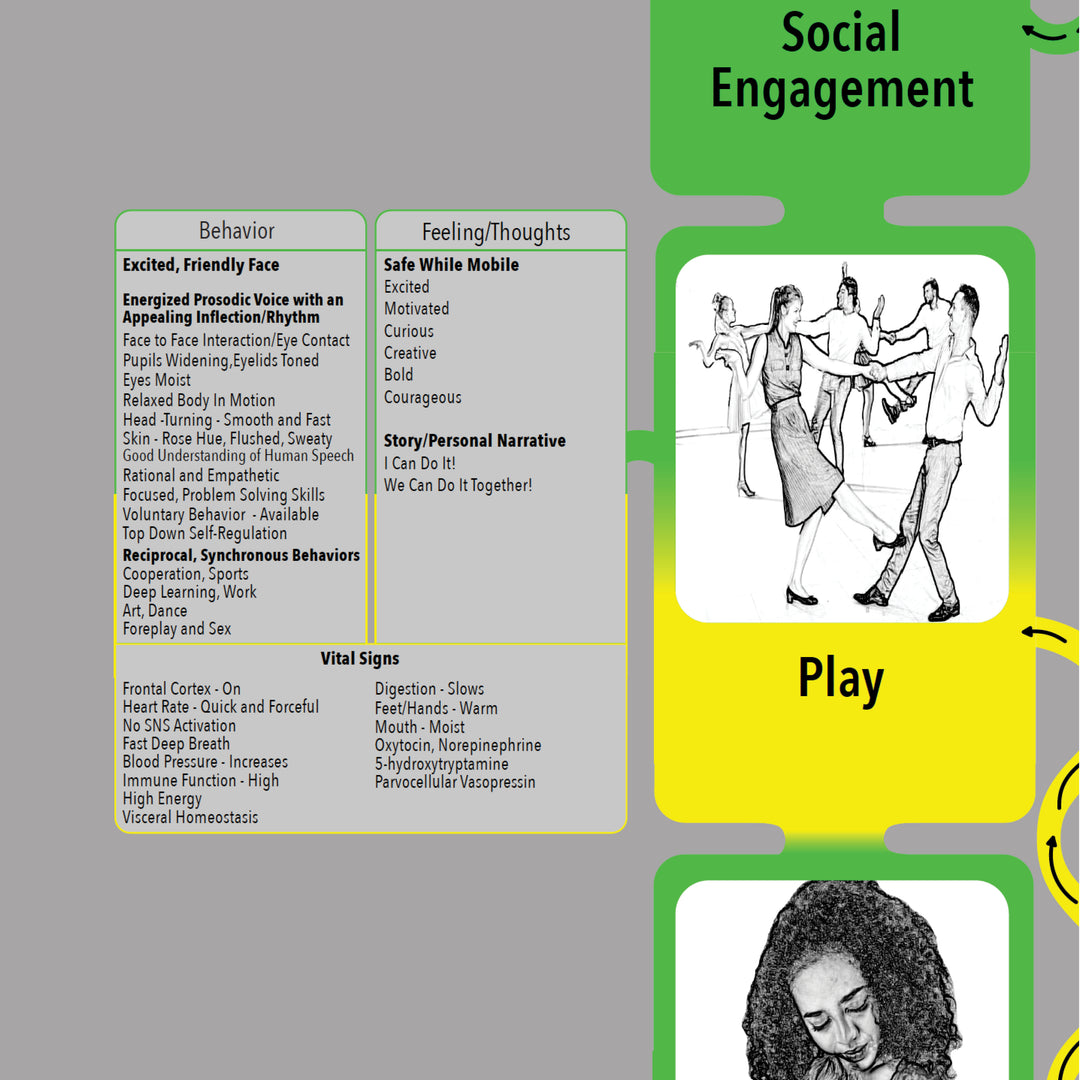 Comprehensive Polyvagal Chart - Digital PDF Download With Life Time Up ...